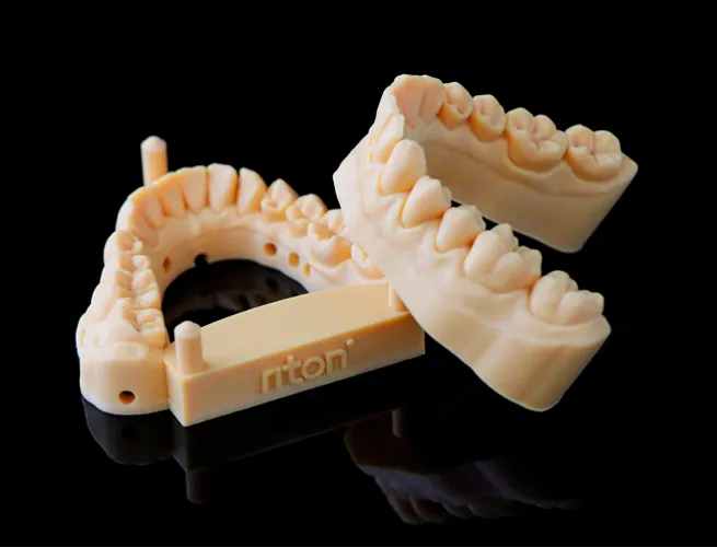 Model S Series Dental Model Resin | Riton 3D